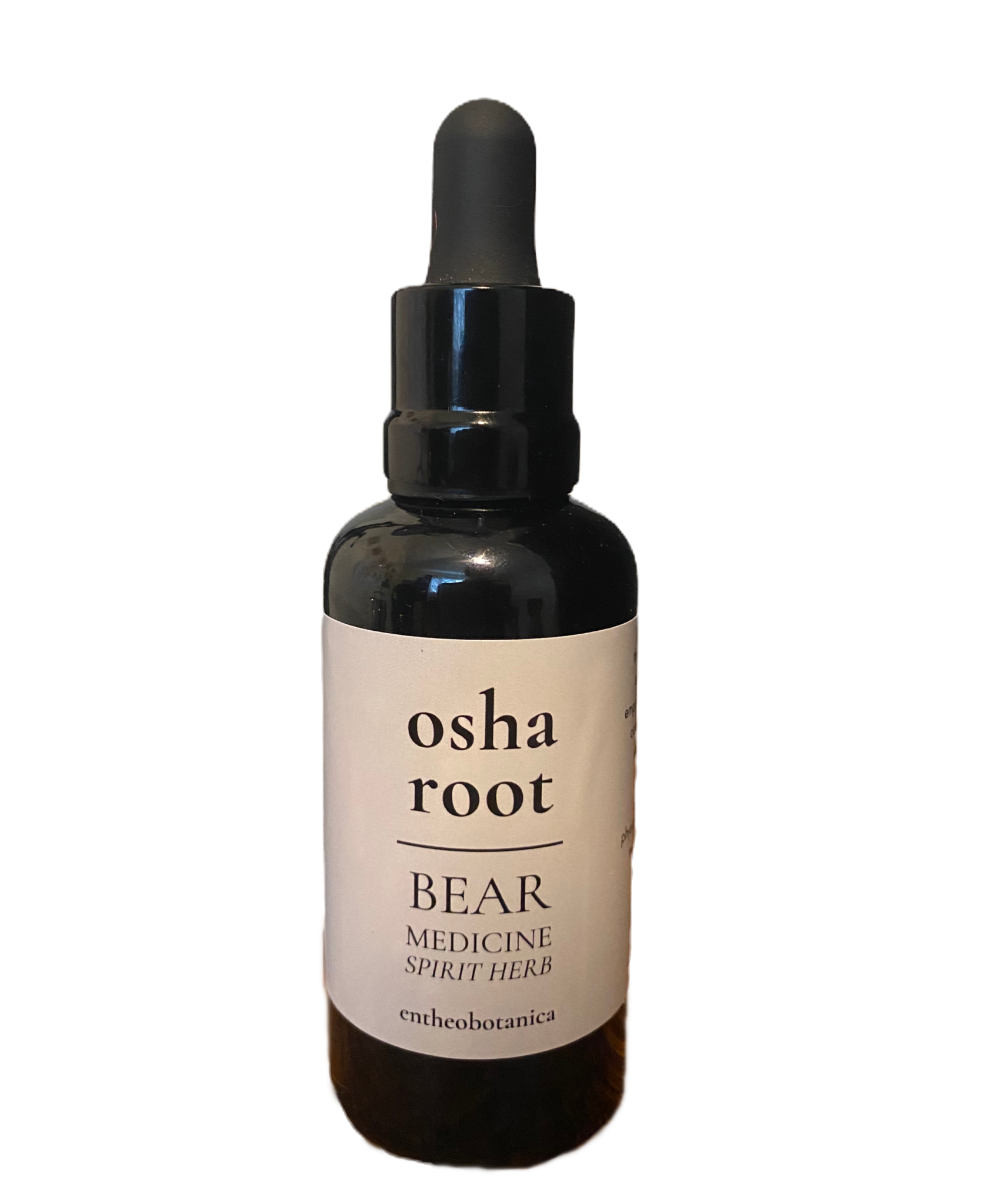 Osha Root || Ligusticum porteri || Bear Root 50mL – Rebel Herbal